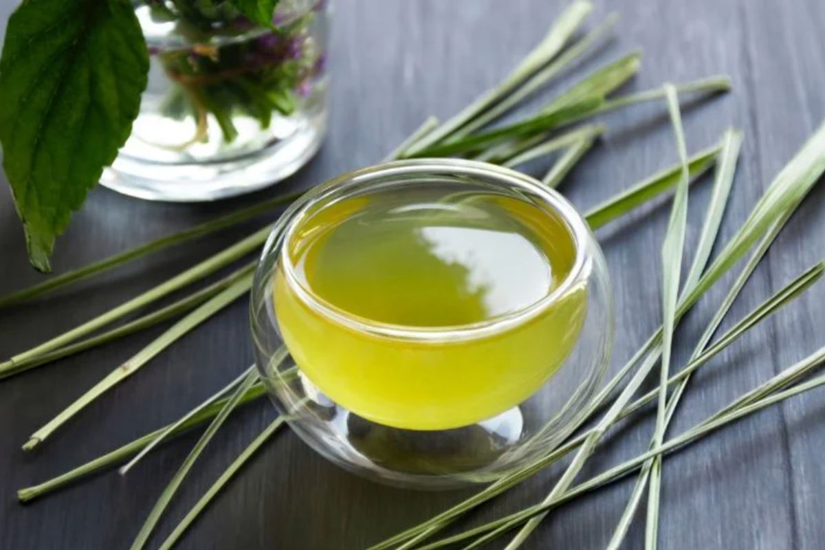 Chá de capim-cidreira: veja os verdadeiros benefícios da planta ...